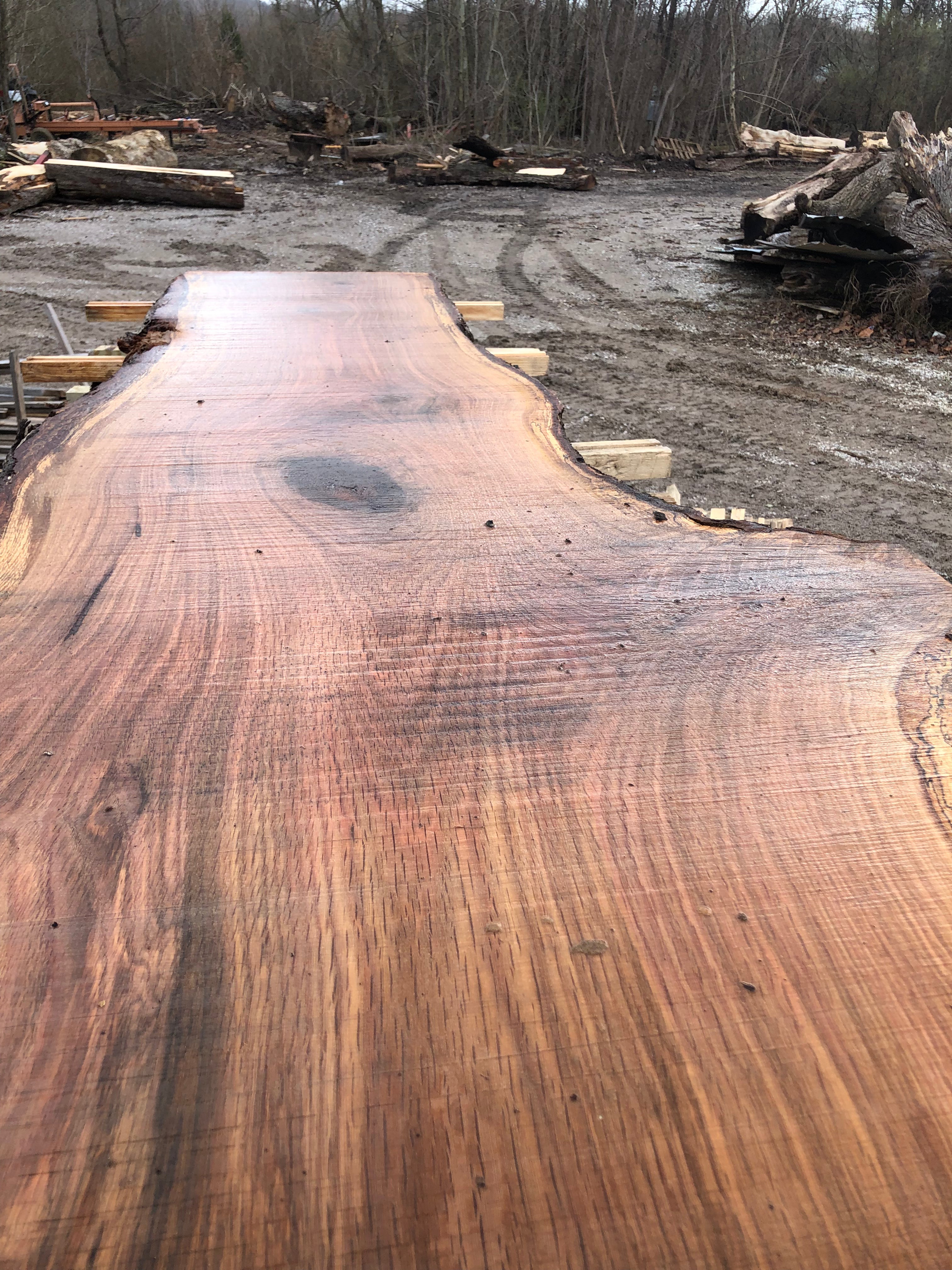WHITE OAK – WINSTEAD'S WOOD
